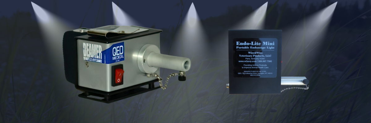 Illuminate Your Veterinary Work with Endo-Lite Portable Endoscope Powe ...