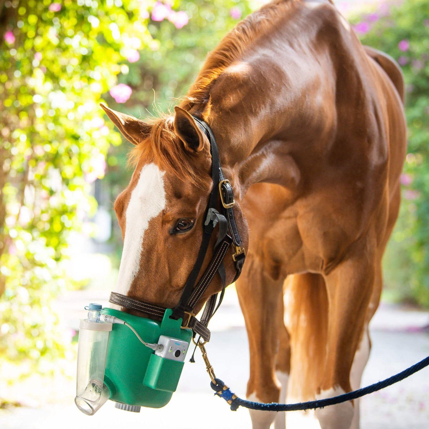 Flexineb® Nebulizers Collection – Wire2Wire Vet Products