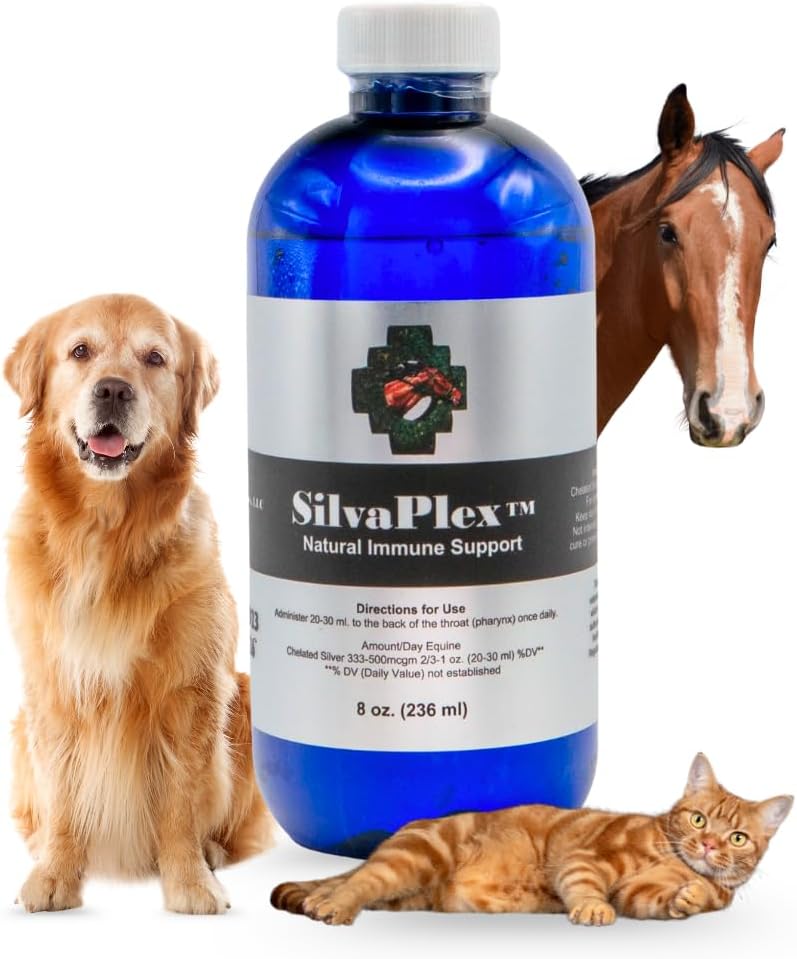 SilvaPlex 100 PPM Chelated Silver | Natural Immune Support – Wire2Wire ...